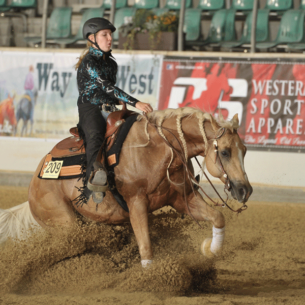 WESTERNREITEN – EWU Sachsen e.V.